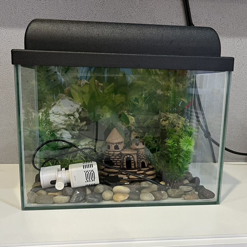 Аквариум 20 литров