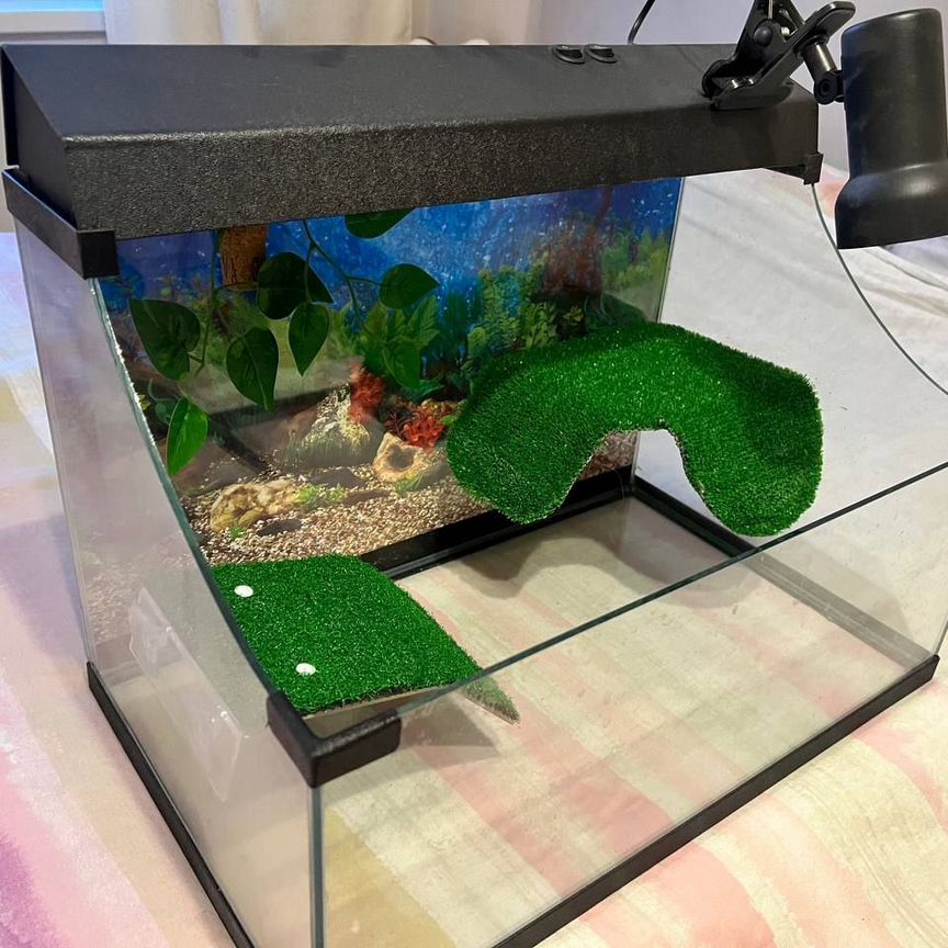 Аквариум для земноводных 30 литров