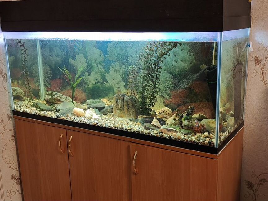 Аквариум 240л с тумбой