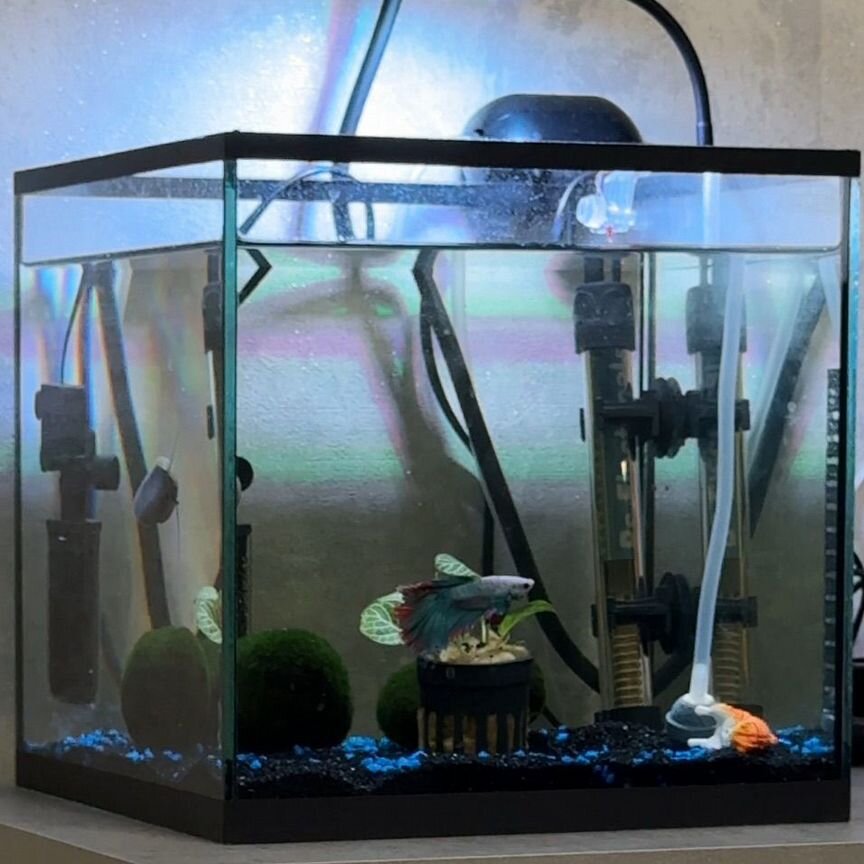 Аквариум с рыбками