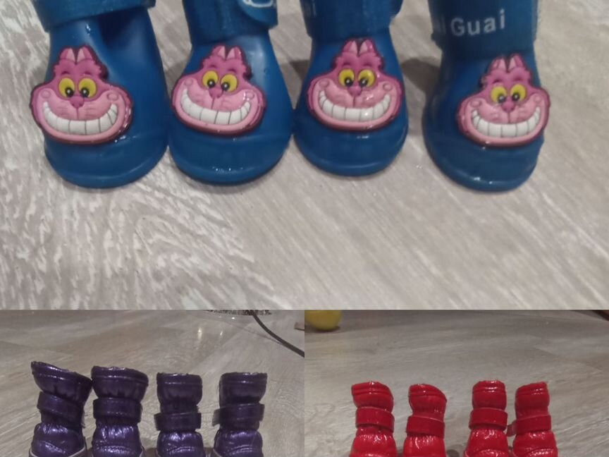 Ботинки для маленьких собак