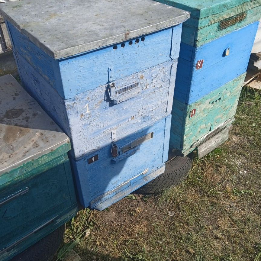 Улей дадан 12 рамок