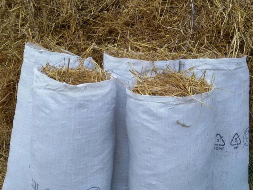 Сено солома 2023г