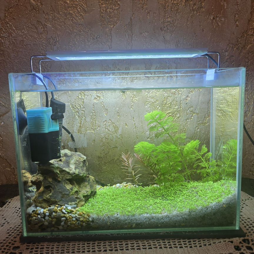 Маленький аквариум на 15 литров