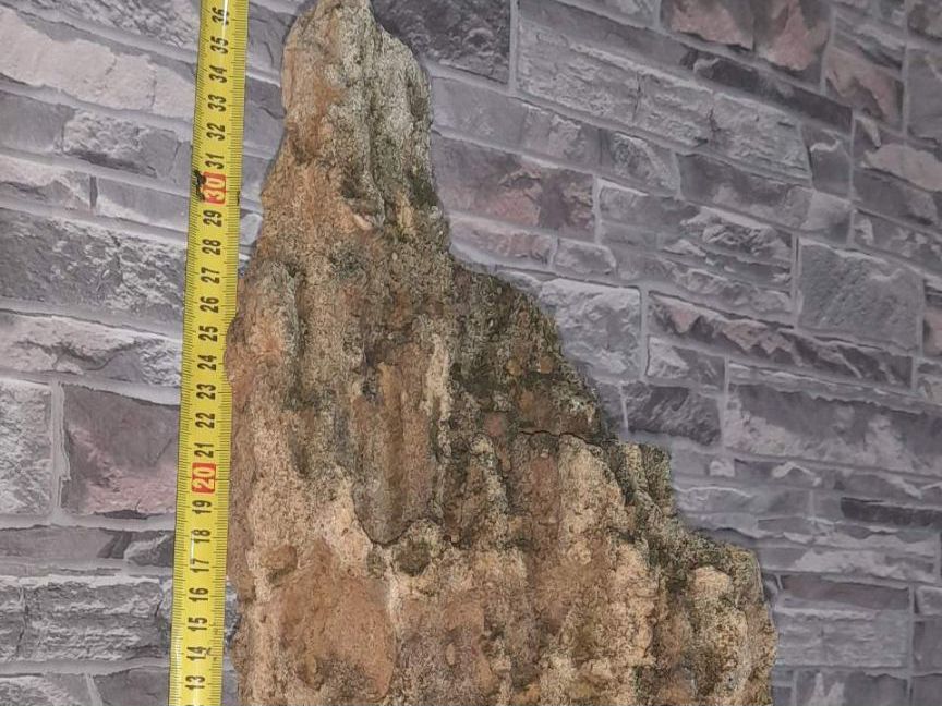 Песчанник для аквариума