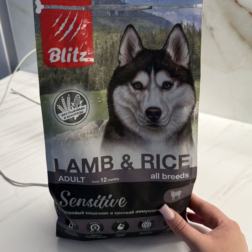 Корм для собак