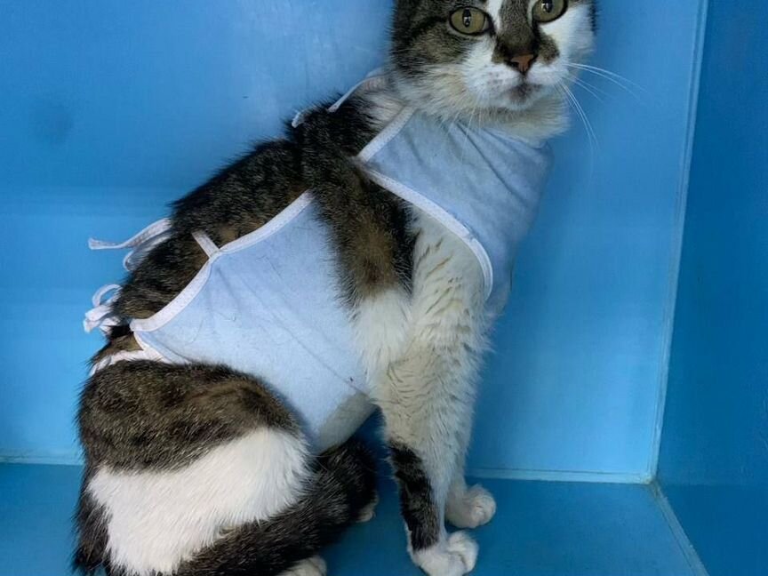 Шерри обратно на промзону