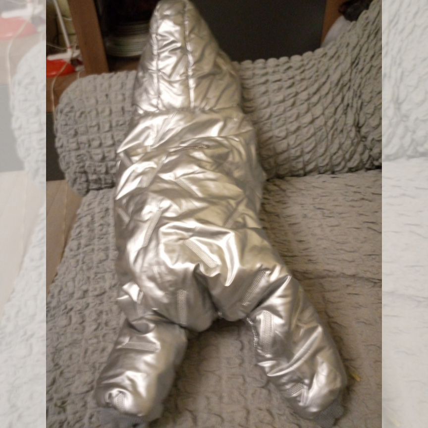 Одежда для собак