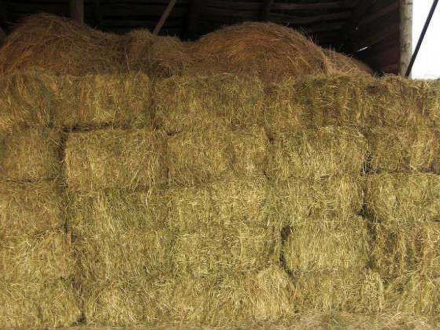 Сено в брикетах (тюках)