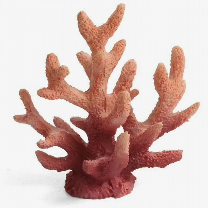 Коралл искусственный "Акропора"