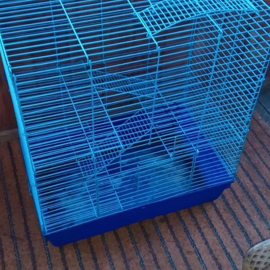 Клетка для животных большая