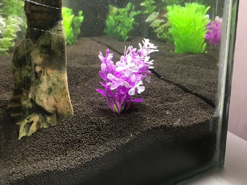 Натуральный пропант в аквариум