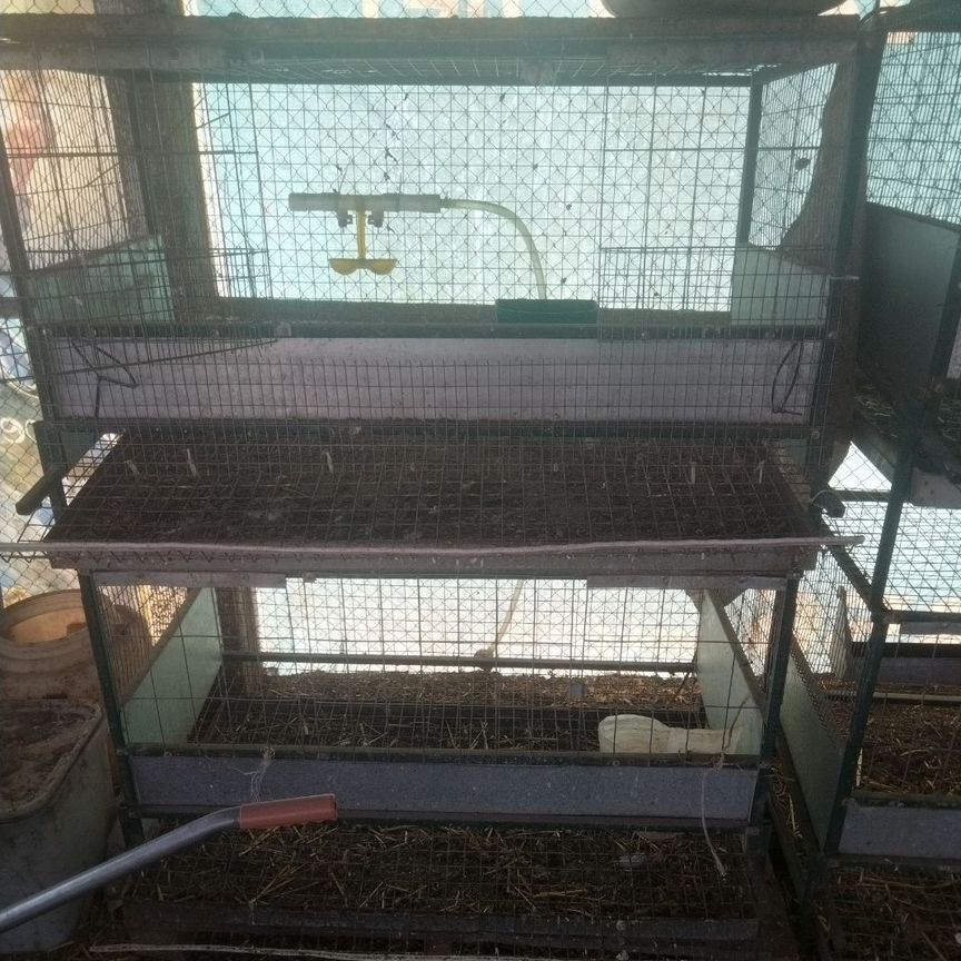 Клетки для, кур несушек и бройлеров