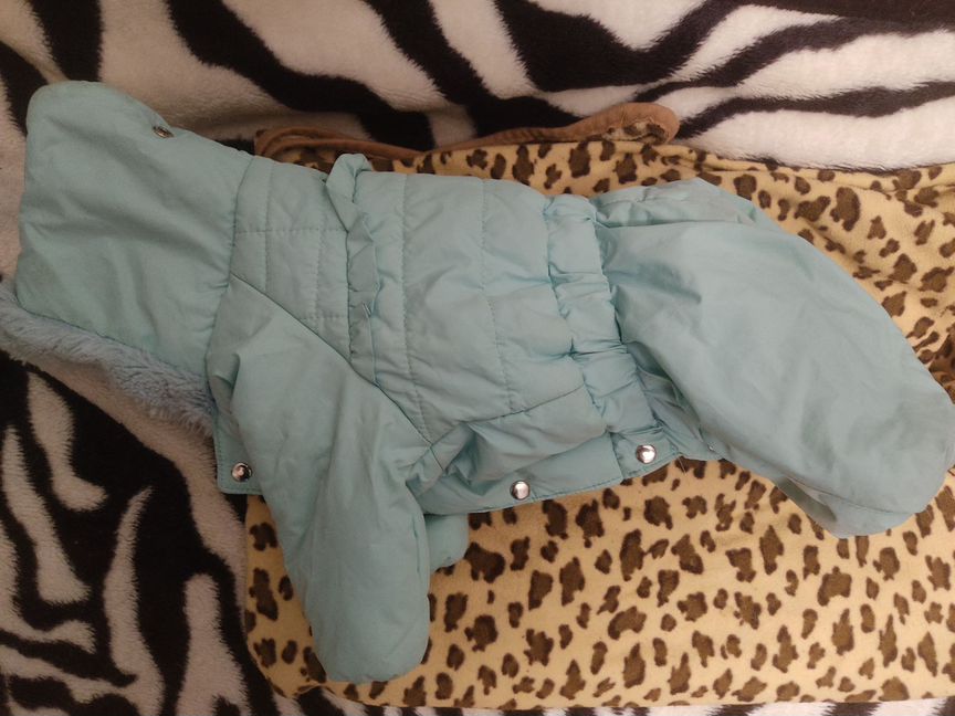 Костюмы для собаки