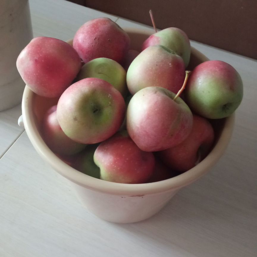 Яблоки падалица