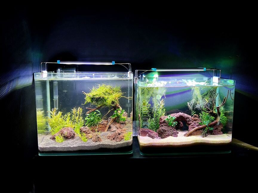 Компактный аквариум 15 литров