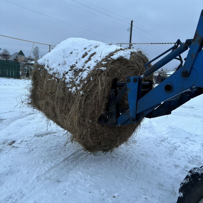 Продам сено в рулонах