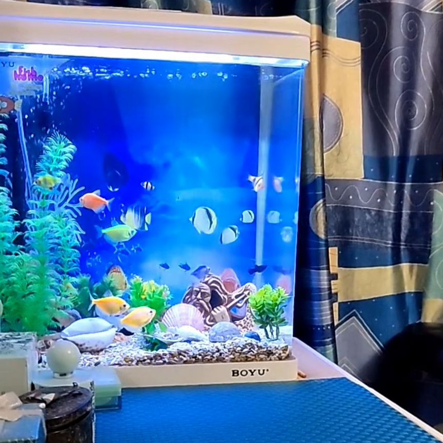 Продам аквариум бу, использовался полгода