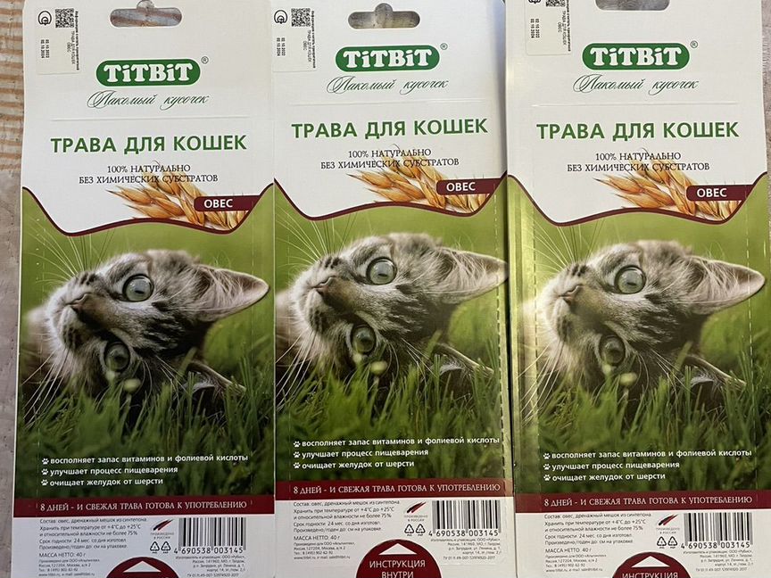 Трава для кошек