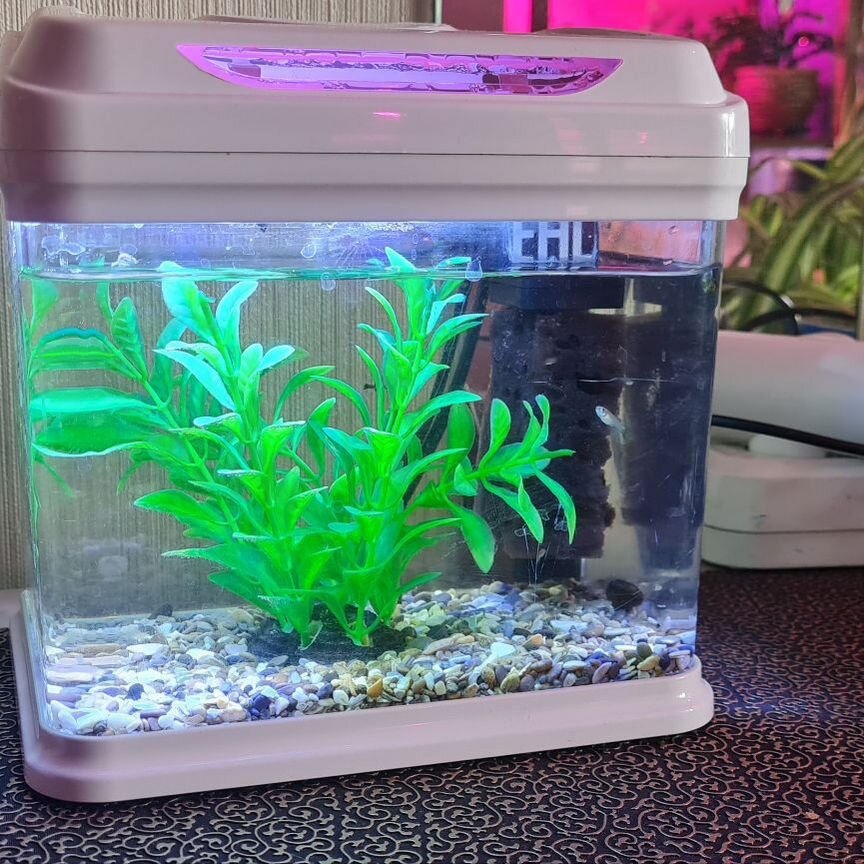 Аквариум ночник с рыбками