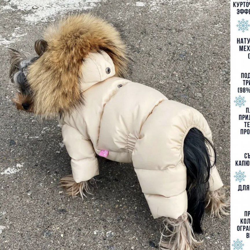 Комбинезон зимний