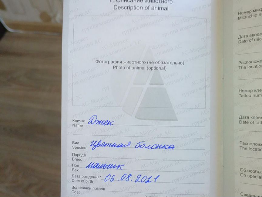 Продам собаку