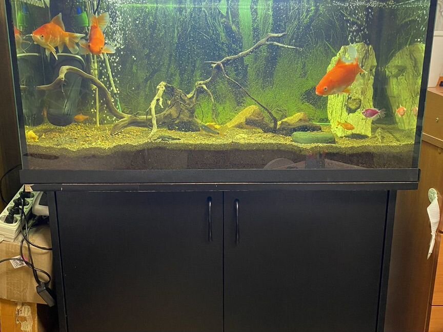 Аквариум с тумбой