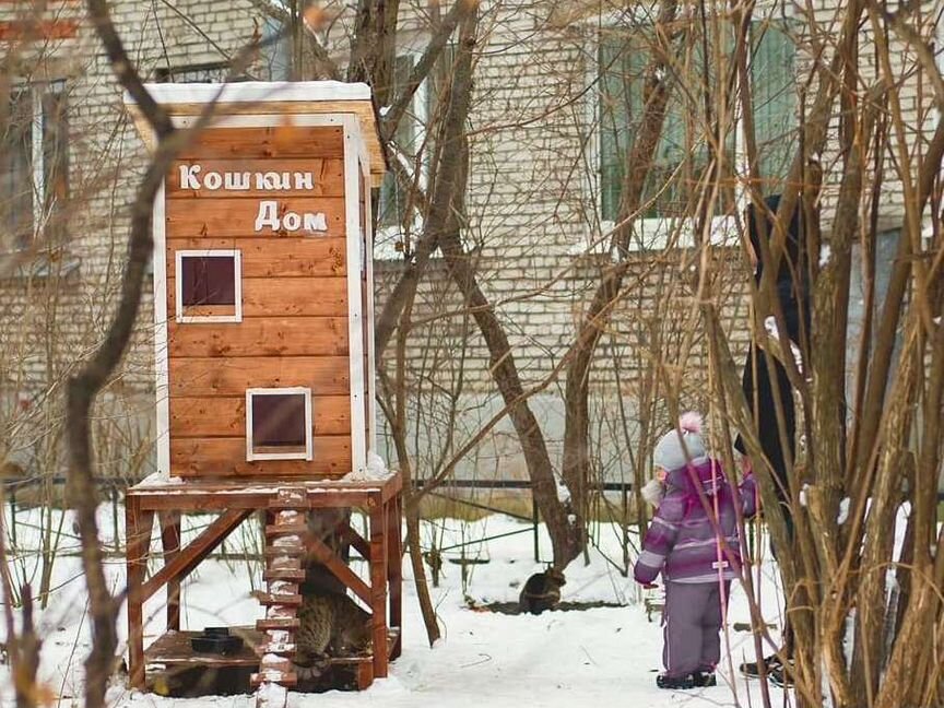 Уличный домик для кошек