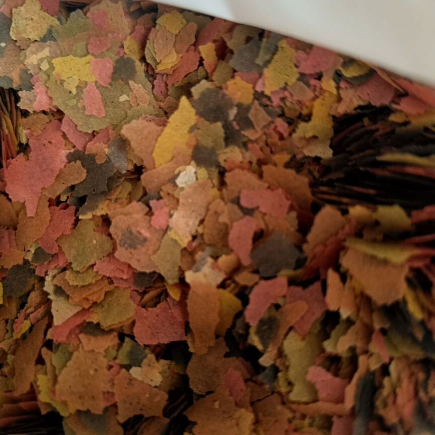 Корм TetraMin Flakes XL