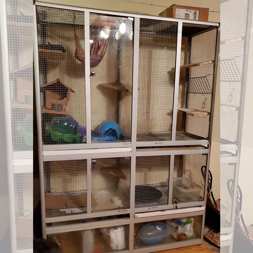 Витрина для животных (шиншилл и других)