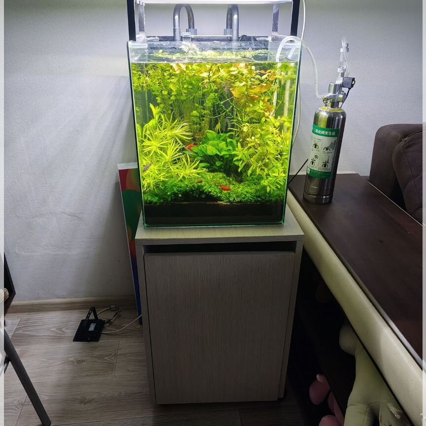 Готовый аквариум-травник 50 л