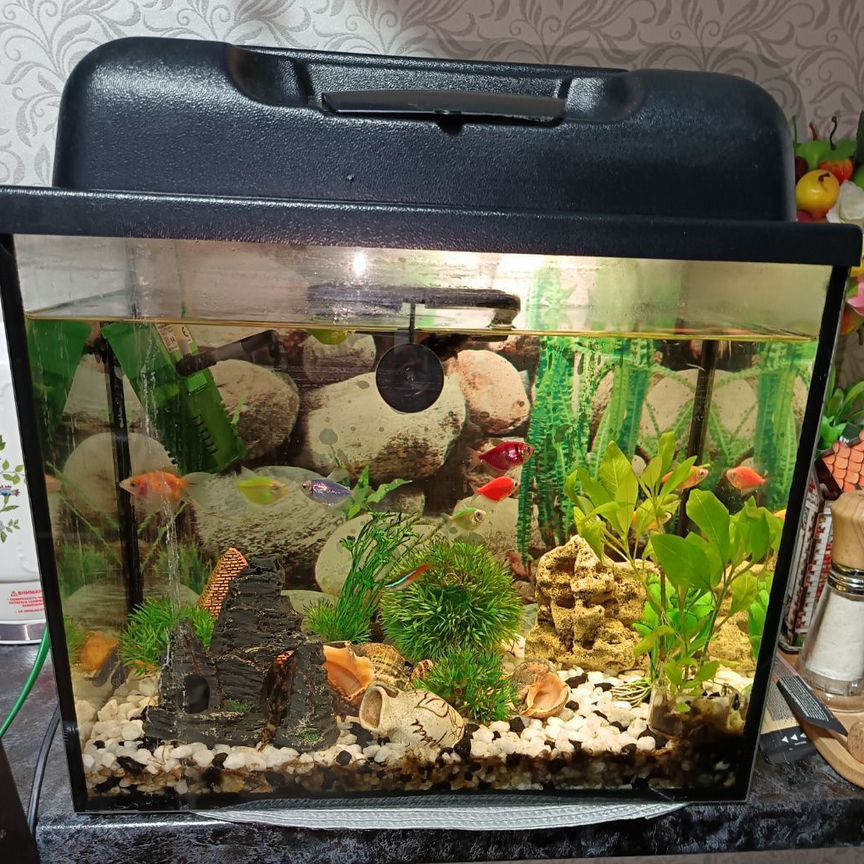 Аквариум с рыбками и тумбой