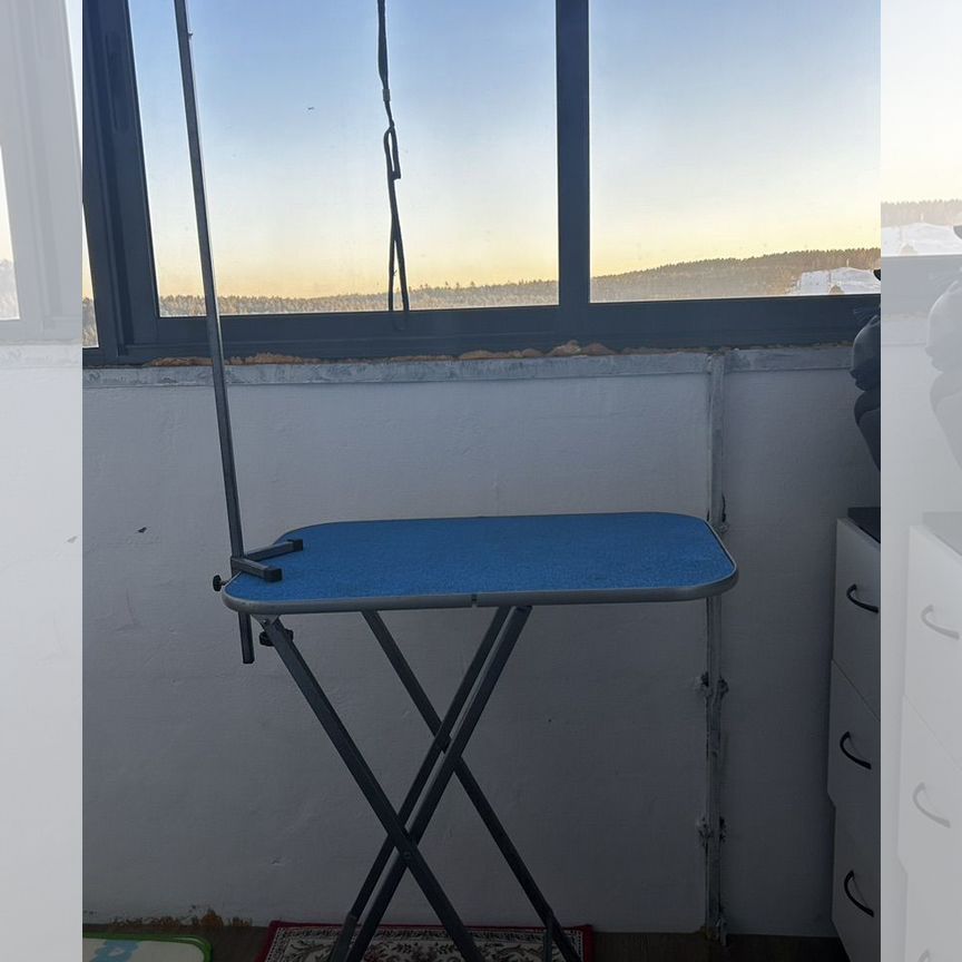 Стол для груминга складной бу