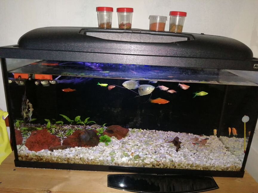 Аквариум 112л