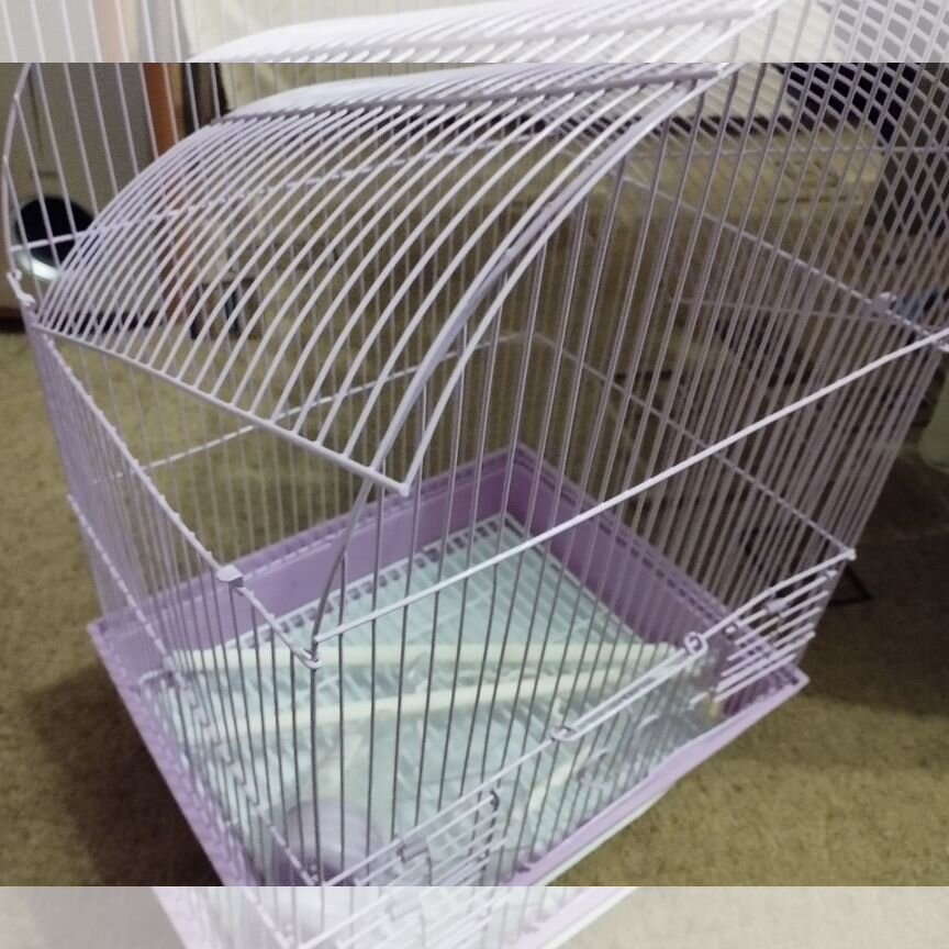 Клетка для птичек