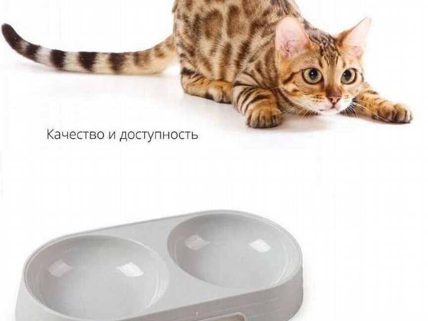 Миски для собаки и кошек
