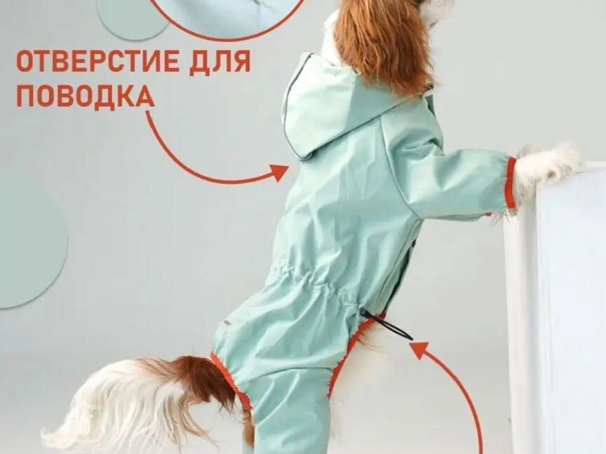 Дождевик и кофта для собак