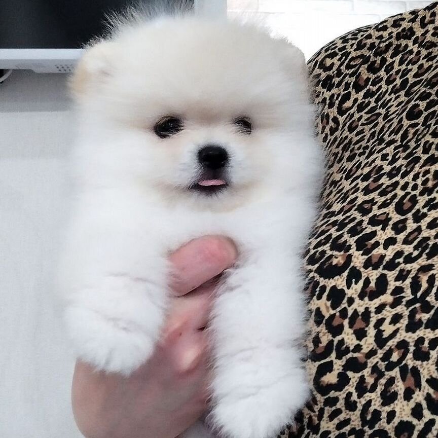 Очень красивый мальчик