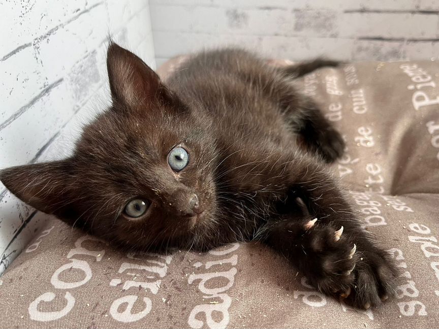 Малыши-карандаши в добрые руки