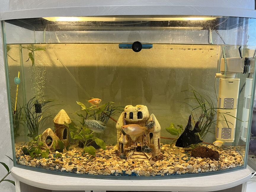 Аквариум с тумбой 100 литров