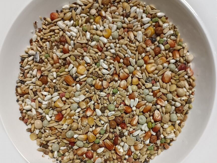 Зерновая смесь для спортивных голубей