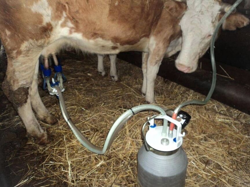 Доильный аппарат Lider
