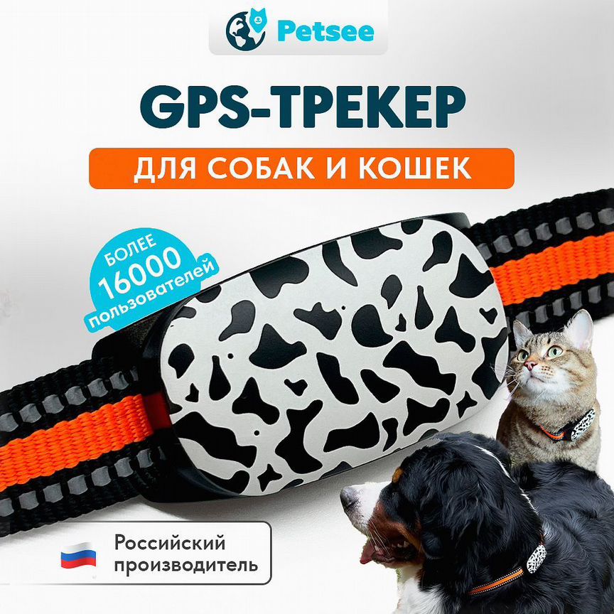Gps для кошек