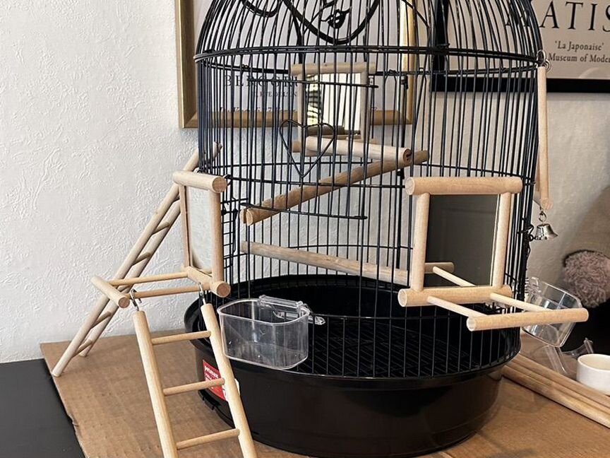 Клетка для попугая