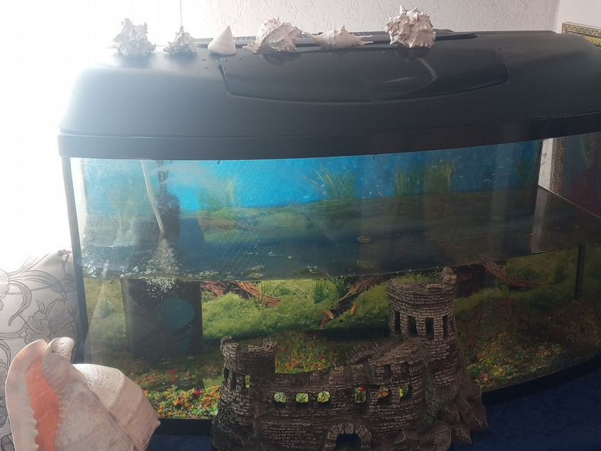 Аквариум