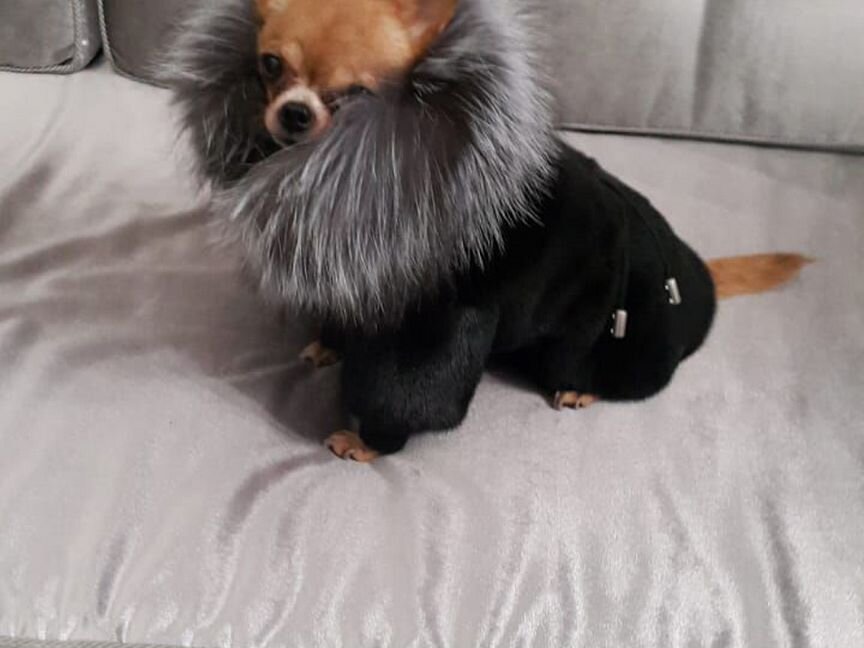 Шубка норковая короткая