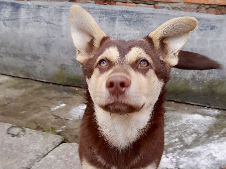 Марсианин в добрые ручки