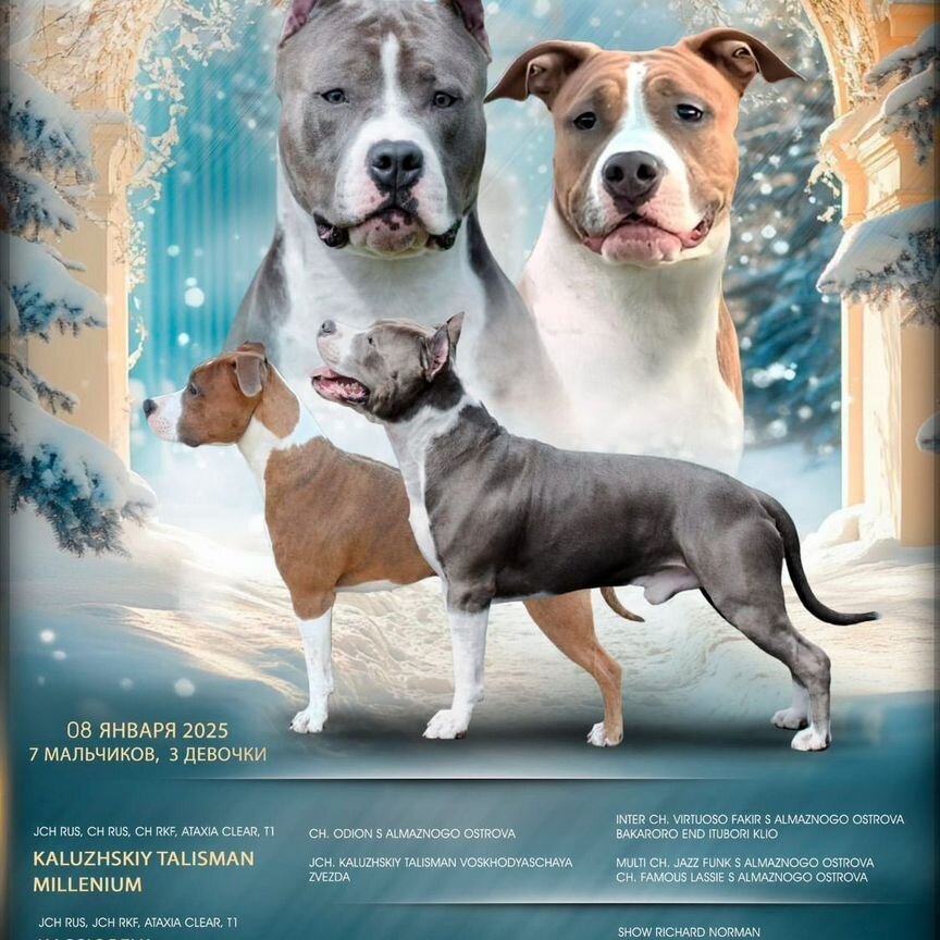 Стаффордширские пупсы