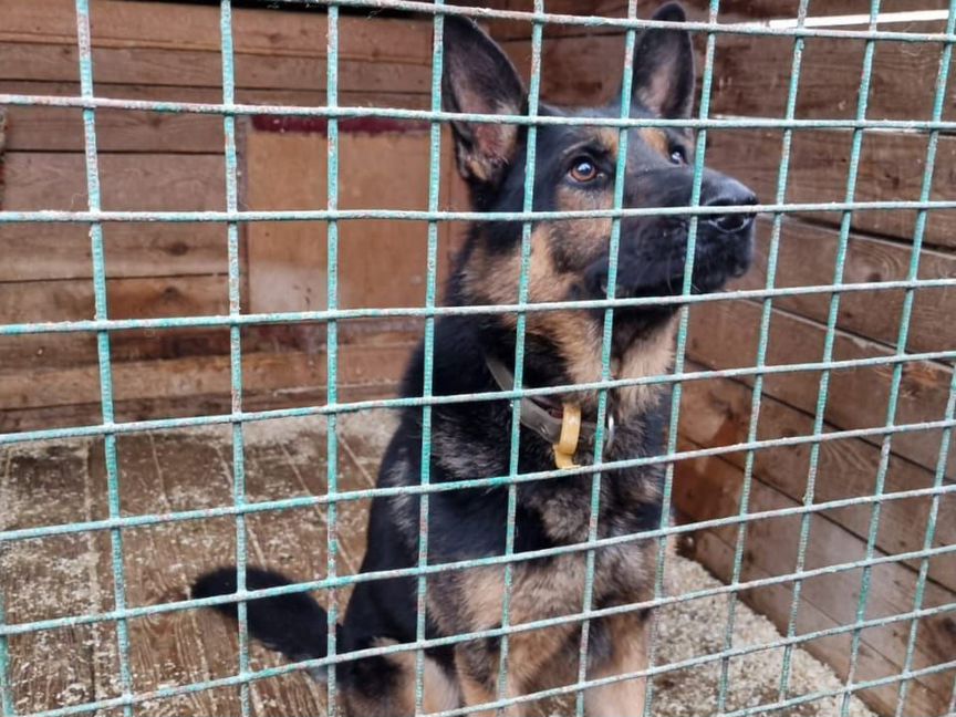 Покер в добрые руки