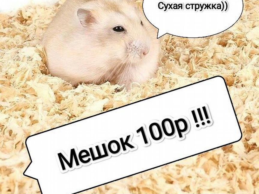 Опилки, стружка. Грызунам, птице, животным